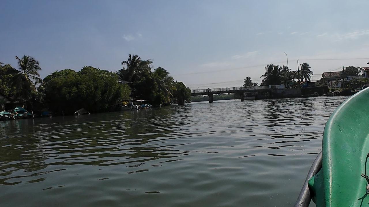 Serene Splendor: Exploring the Enchanting Lagoon of Negombo, Sri Lanka ...